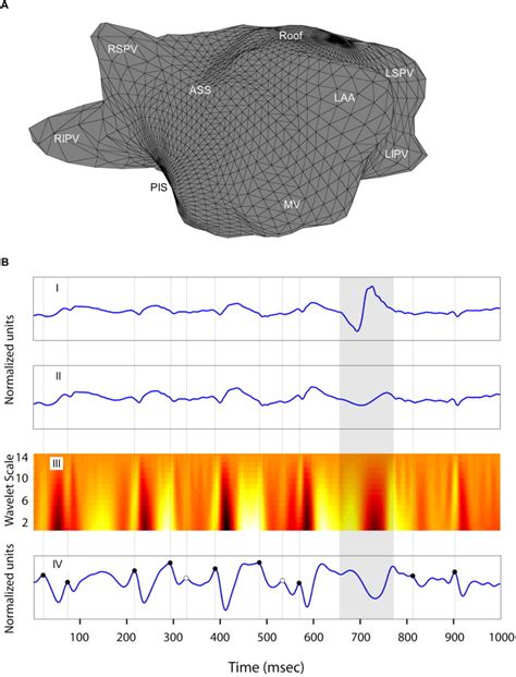 Three Dimensional Endocardial Surface Of The Left Atrium Using