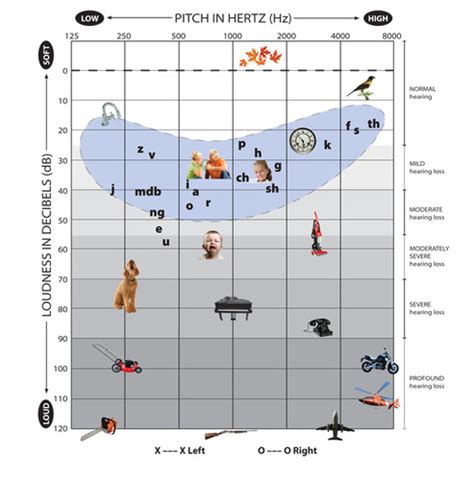 Audio Eval Exam 2 Flashcards Quizlet