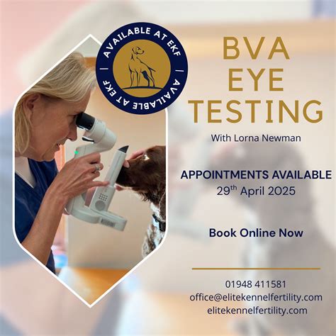 🔍 Bva Eye Testing With Lorna Elite Kennel Fertility Facebook