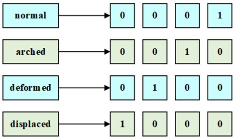 Discrete Missing Data Imputation Using Multilayer Perceptron And Momentum Gradient Descent