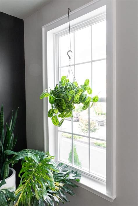 Recessed Window Trim