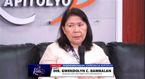 Pia Programa Ng Denr Kontra Illegal Logging Patuloy Pa Rin