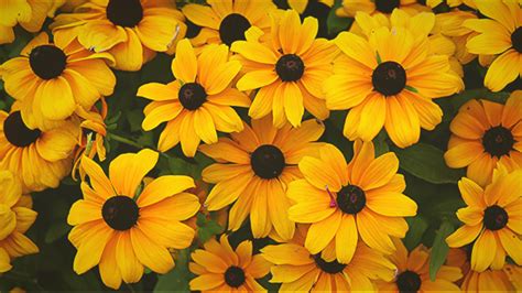 🎖 Sidi 7 Consejos Imprescindibles Para Mejorar Tu Productividad