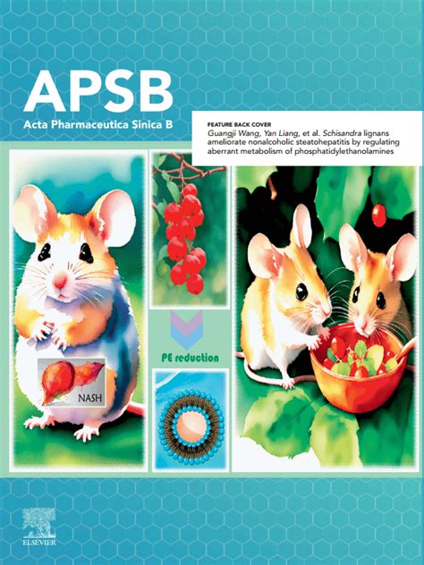 APSB封底文章五味子木脂素通过调控磷脂酰乙醇胺的代谢异常改善NASH 科学研究院 中国 治疗