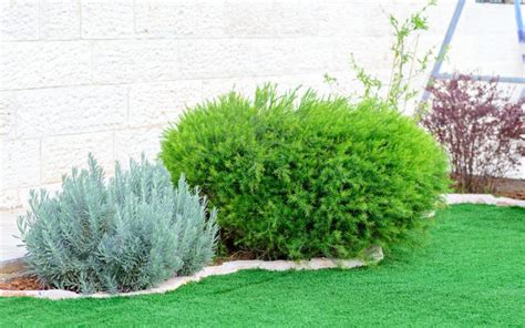 4 Signs You Should Switch To The Best Synthetic Grass