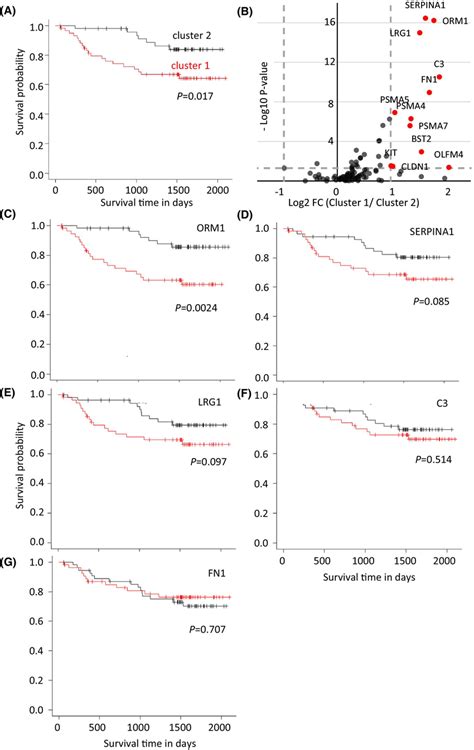 Characterization Of The Two Clusters Identified By Consensus Download Scientific Diagram