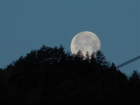 去来荘日記 氷点下は寒い