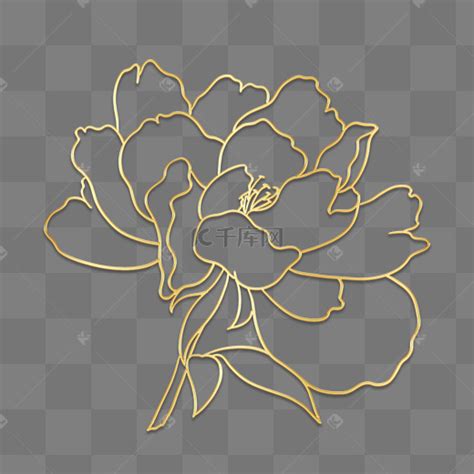 芍药金边图片 芍药金边图片素材免费下载 千库网