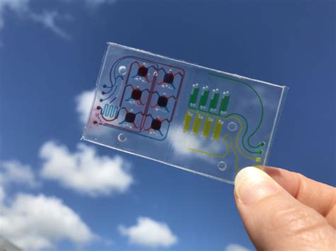 Youve Heard Of Organs On A Chip Now Think Tissue Chips In Space