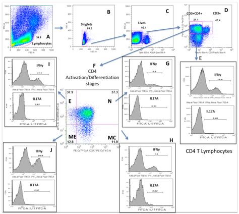 Dot Plots Represent The Flow Cytometry Gating Strategy And Histograms Download Scientific