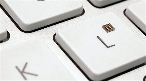 What Is The Smallest Chip In The World At Natalie Murray Blog