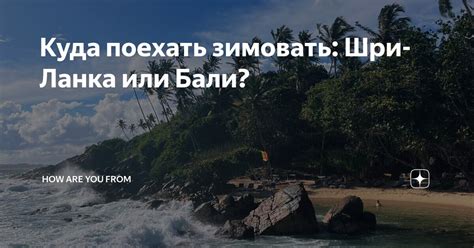 Куда поехать зимовать Шри Ланка или Бали How Are You From Дзен