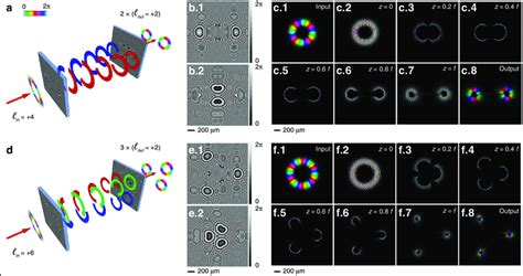 Division Of Oam Beams Schematics Of Oam Beam Optical Dividers For