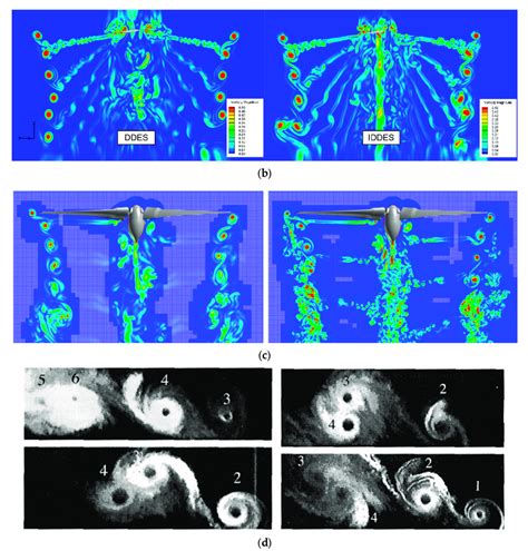 Comparison Of Cross Section Vorticity Distribution Obtained By Ddes And