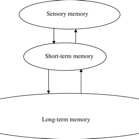The Human Memory Hierarchy Download Scientific Diagram