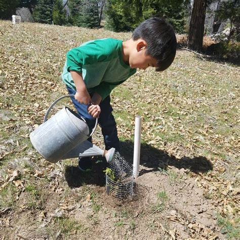 Sequoia Sentinels Corporation