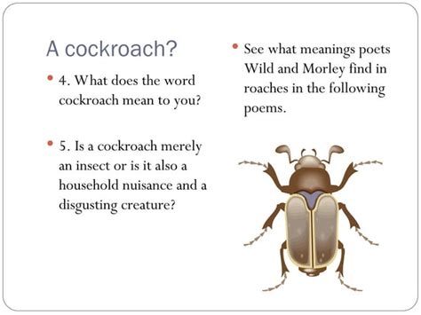 Connotative And Denotative Connotation Versus Denotation Ppt
