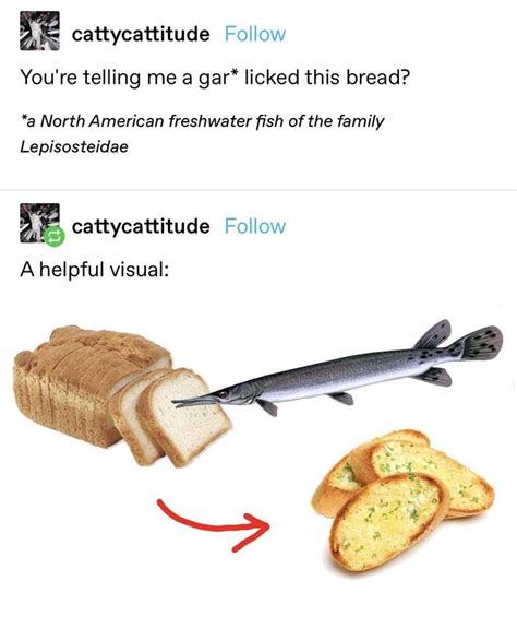 Animal Memes For Those Who Know What Comes After Genus Species Artofit