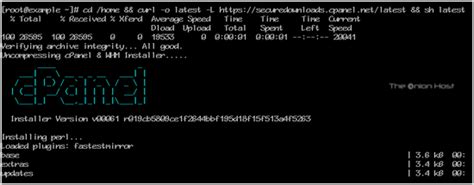 Empower Your Website A Step By Step Guide To Install Cpanel Effortlessly On Vps For Ultimate