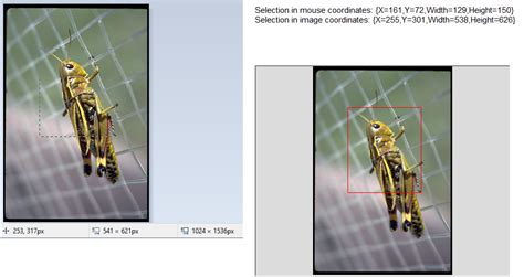 C Draw Rectangle Inside Picture Box Sizemode Zoom Stack Overflow