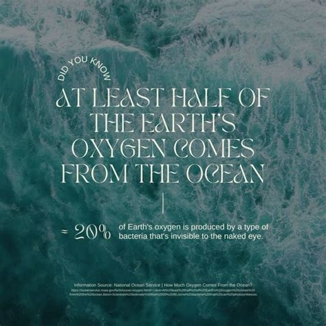 Ocean The Unsung Hero Of Oxygen Production