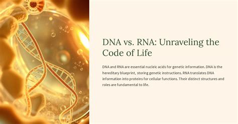 DNA Vs RNA Unraveling The Code Of Life