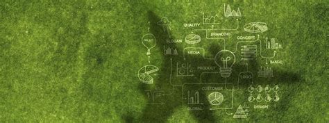 Consultoria Ambiental Wallpaper Imagens Download Grátis No Freepik