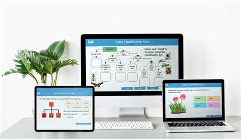 Using Classification Keys