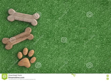 Косточки собаки на предпосылке зеленой травы Стоковое Изображение