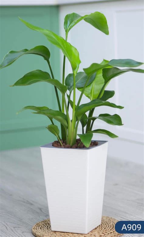 📌📌Цэцгийн сав зарна Үрсэлгээний сав худалдаа