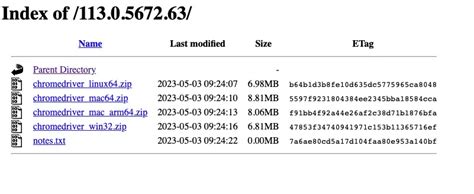 How To Install Chrome Driver Executable File In Selenium With Python
