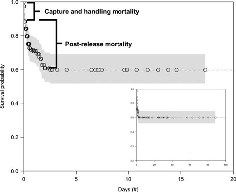 Figure A1 Plot Of The Kaplan Meier Estimator Of The Overall Survival