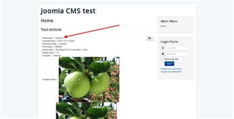 J3xadding Custom Fieldsradio Field Joomla Documentation