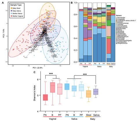 Microbiota Composition Diverges By Sample Type And Perinatal Period