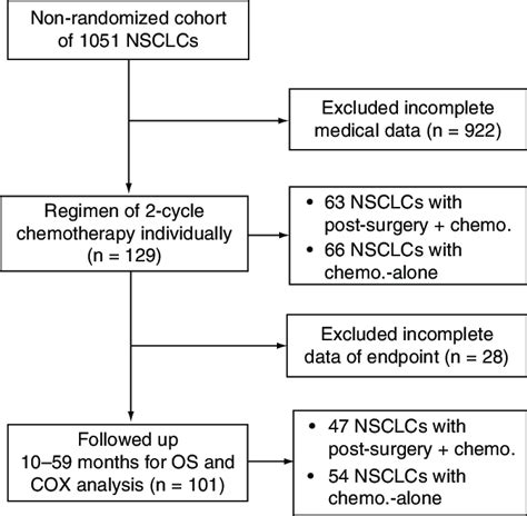 Flow Chart Of Data Selection For The Investigation Of Real World Data