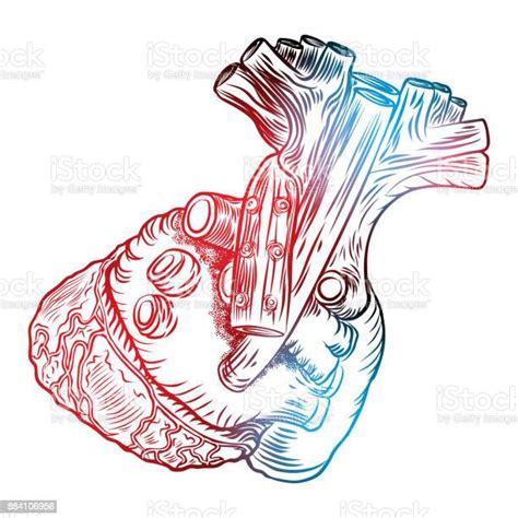 흰색 바탕에 화려한 레드 블루 육체 문신 개념 해부학 인간의 마음을 조각 고립 벡터입니다 건강관리와 의술에 대한 스톡 벡터 아트 및 기타 이미지 Istock