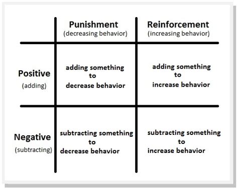 Associative Learning Learning From Association Or Relating Several Things