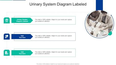 Urinary System Diagram Labeled Powerpoint Presentation And Slides Ppt Presentation Slideteam