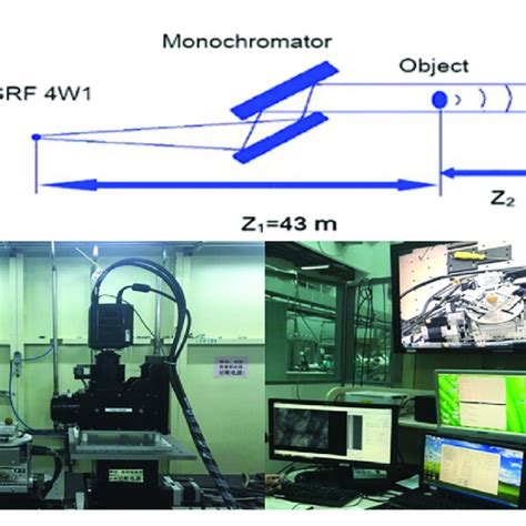 A Synchrotron Radiation Diagram B Observation Of Femoral Head