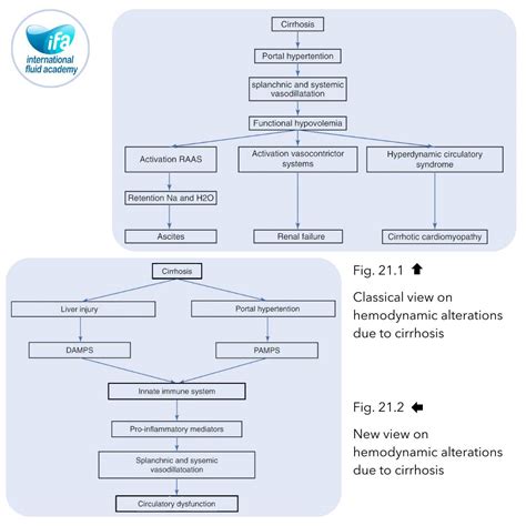 💧 Fluid Management In Liver International Fluid Academy