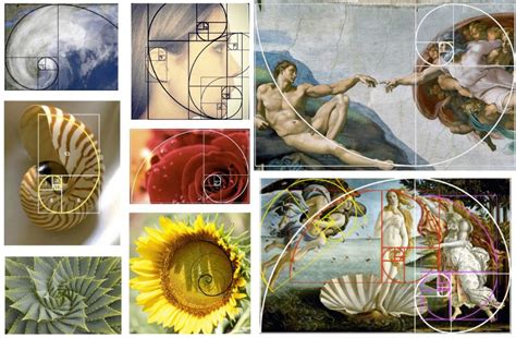 курс Златно сечение Сакрална геометрия МегАрт Обучения