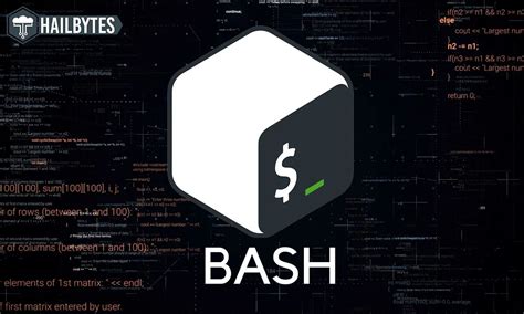 GuÍa Para El Uso BÁsico De Bash