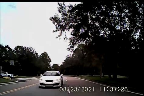 Traffic Sign Detection Object Detection Dataset By Utepflow