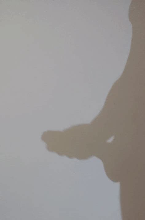 Silhouette Asstheticdude