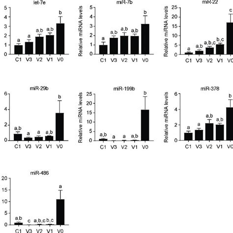 Identification Of Micrornas Differentially Expressed Along The Download Scientific Diagram