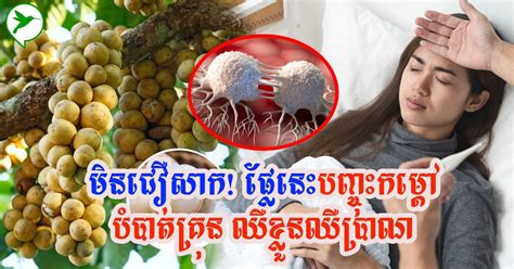 ញុំាផ្លែប្រឡុងកុងផ្ដល់អត្ថប្រយោជន៍៤យ៉ាងធំៗ គឺ រំលាយដុំសាច់កាចមហារីកandជួយ បញ្ចុះសី តុពេលឈឺគ្រុន