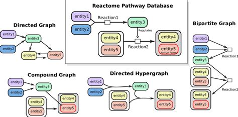 Representations Of Two Toy Reactions As Directed Graphs Compound