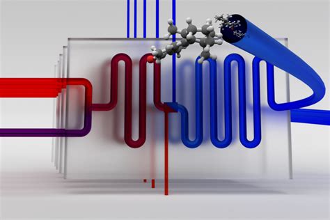 apis in flow the kappe laboratory