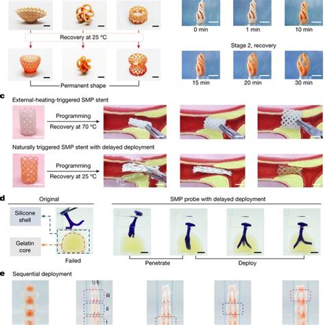 Device Demonstrations Of The 4d Printable Shape Memory Hydrogel A