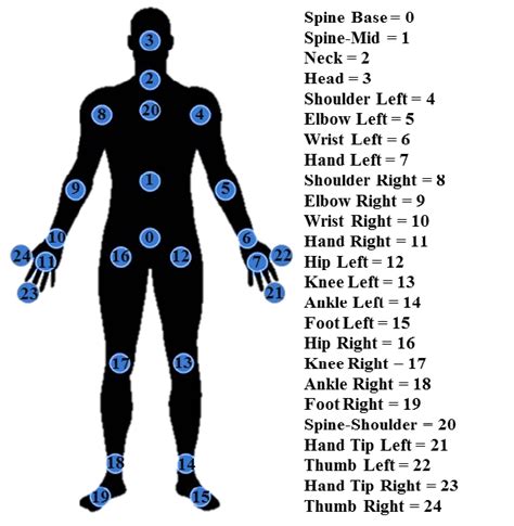 Kinect Skeleton Joints Download Scientific Diagram